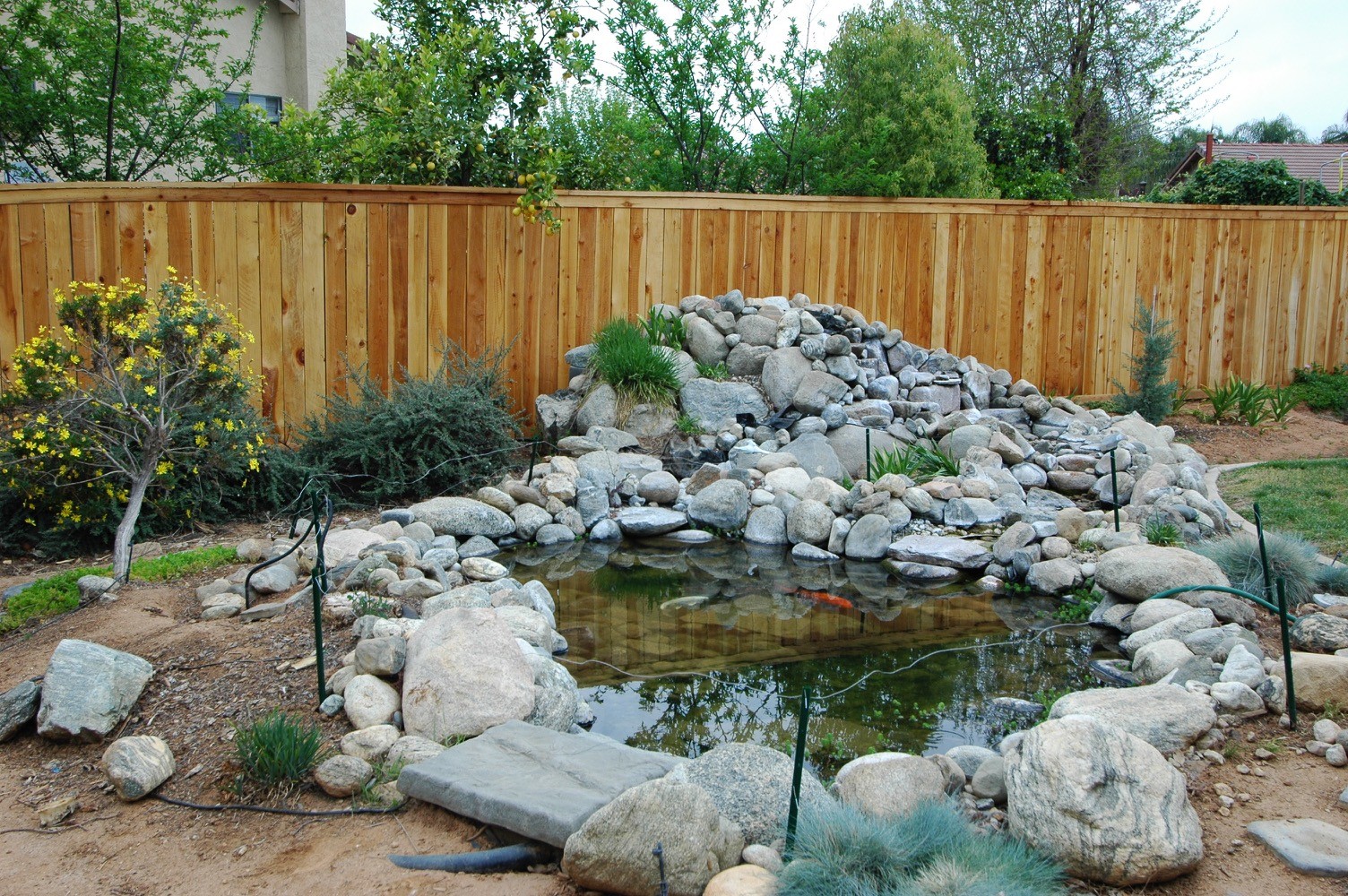 Avoid These 3 Common Pond-Building Regrets - The Pond Digger