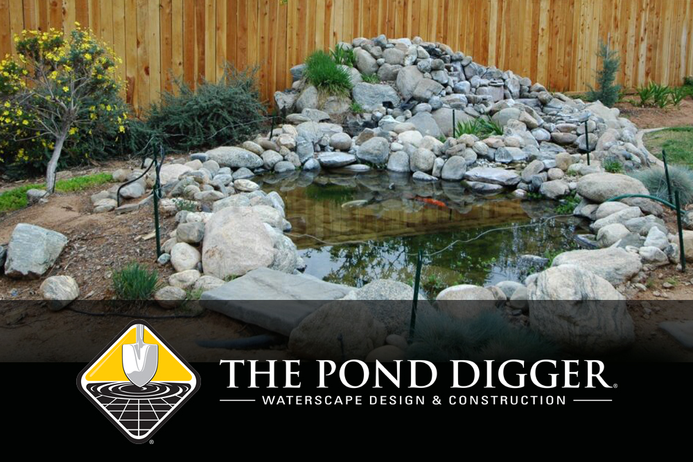 Avoid These 3 Common Pond Building Mistakes - The Pond Digger